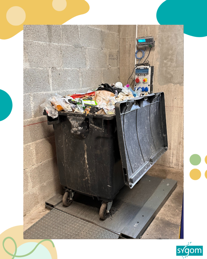 Caractérisation des déchets recyclables au centre de tri - [sygom.fr]